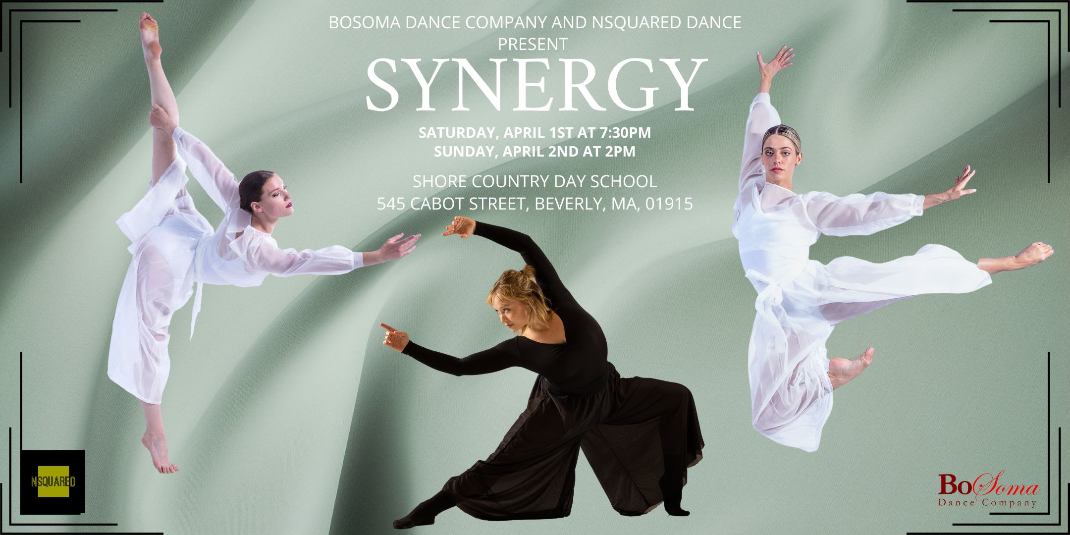 synergy - BDA