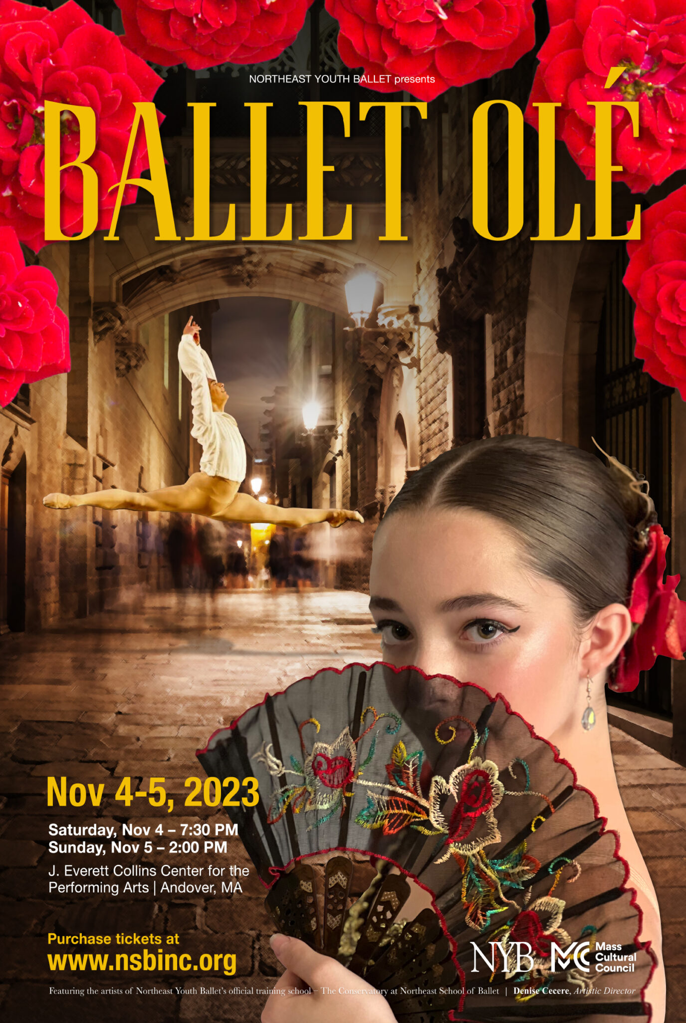 Ballet Olé - BDA